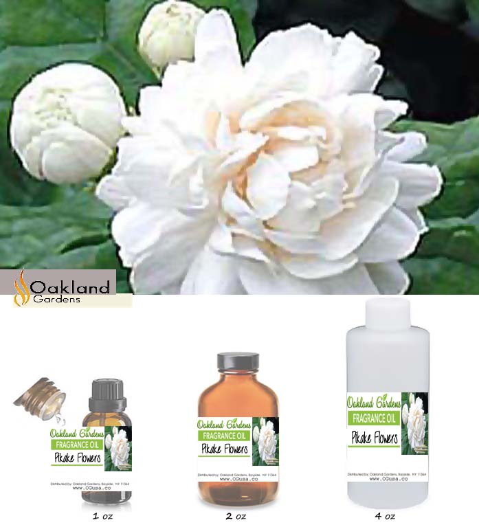 Pikake Flowers Fragrance Oil – Oakland Gardens